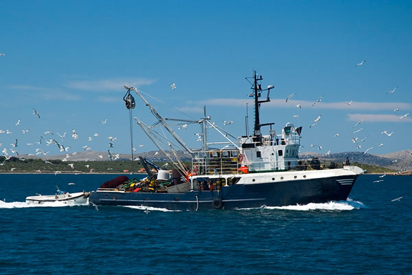 Boat Cameras - Iris Innovations