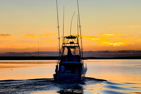 Boat Cameras - Iris Innovations